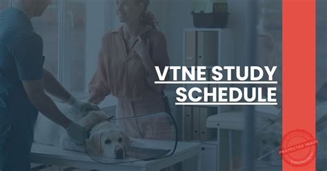 Vtne Study Schedule Vtne 101