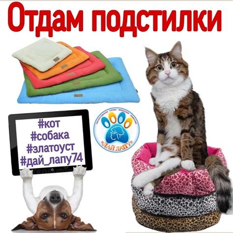 Елена Ровина Доброго дня всем Девочки есть ненужное рваненькое одеяло плед по мелочи тряпки