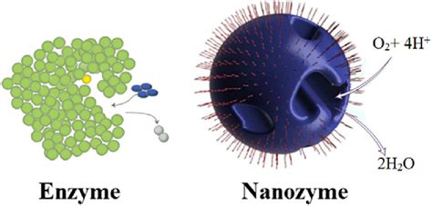An Example Of A Nanozyme That Mimics The 3d Geometric Architecture Of Download Scientific