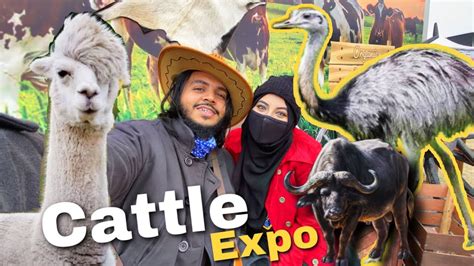 ঘুরে আসলাম Cattle Expo 2023 🐄🦚 Youtube