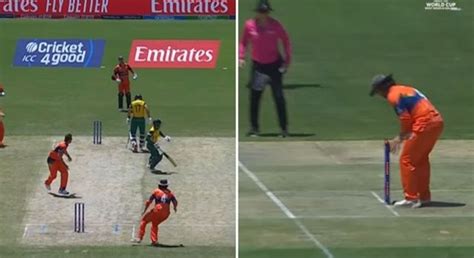 Watch Quinton De Kock Gets Run Out Without Facing A Ball In Ned Vs Sa