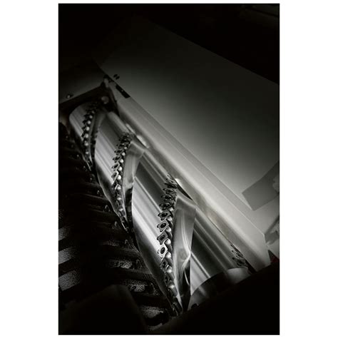 Buy SCM Minimax FS G Online Daltons Wadkin