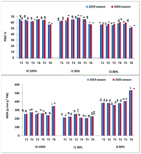 Effect Of Interactions Between Irrigation Levels And Weed Control