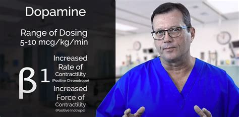 Dopamine Acls Drugs Acls Certification Association