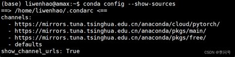 远程配置深度学习服务器详细教程,配置condapytorch环境深度远程启动管理器 Csdn博客 远程配置深度学习服务器详细教程,配置condapytorch环境深度远程启动管理器 Csdn博客