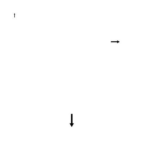 Qgis Scaling Vector Field Marker Arrow Based On Attribute