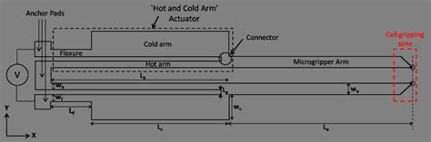 Schematic Illustration Of The Electrothermal Microgripper Design Based Download Scientific