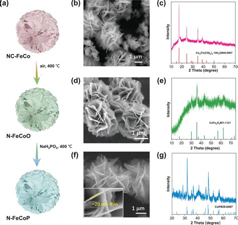 A Graphical Scheme Of Preparation Of N‐doped Fecop Starting From Download Scientific Diagram