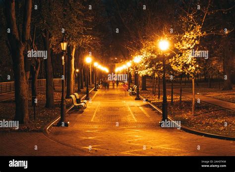 Night City Park Wooden Benches Street Lights And Park Alley Stock