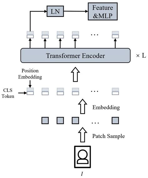 Symmetry Free Full Text Constructing Adaptive Multi Scale Feature Via Transformer Aware