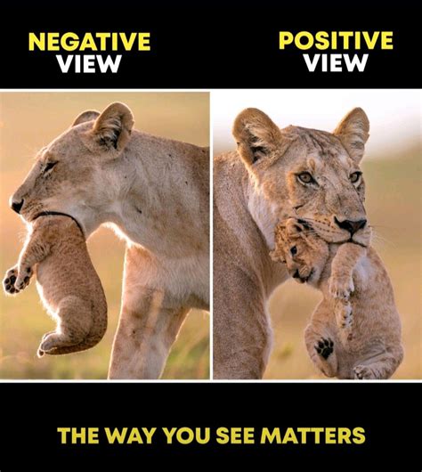 Kiran Dabral On Linkedin Thepowerofperspective Choosetoseethegood
