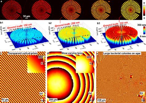 Quantitative Phase And Height Metrology A Recovered Phase Image Of A Download Scientific