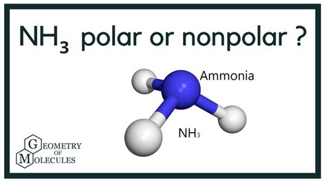Nh3 Polar Or Nonpolar Konnerathanson