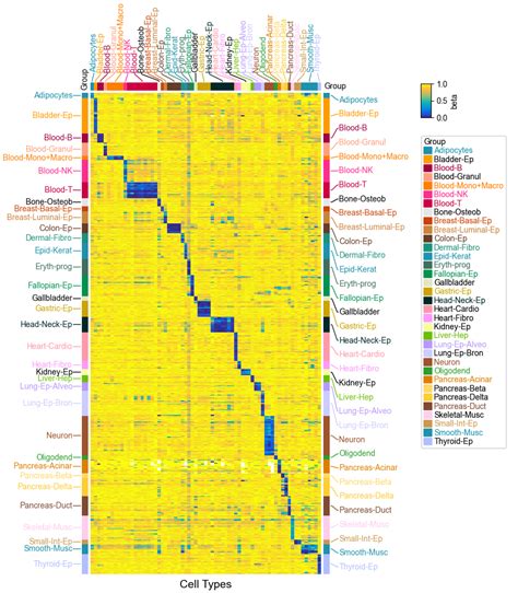 PyComplexHeatmap一个炫酷的Python可视化库 腾讯云开发者社区 腾讯云