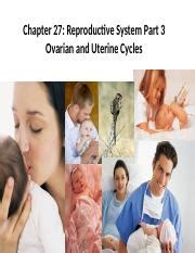 ReproductiveSystem Part OvarianAndUterineCycles Pptx Chapter Reproductive System Part