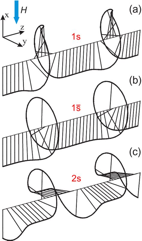 3 D Profiles Of Magnetization In The Nonuniform Phases Of The Double