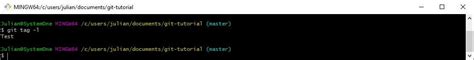 Tutorial Git Nozioni Di Base Di Git Semplificate IONOS