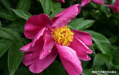 2月开始，得福神眷顾，财运滚滚来，走向人生巅峰的星座为人