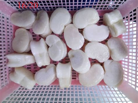 Frozen Ligament Of Penshell Scallop Meat Penshell Scallop Meat And