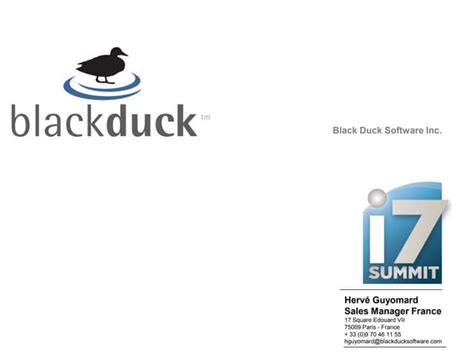 Black Duck Softwares Pitch Pdf