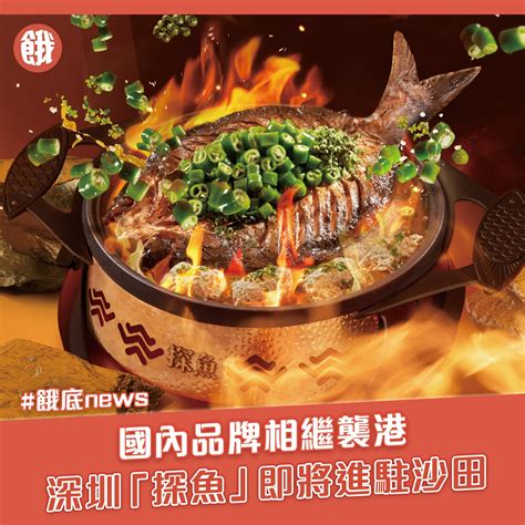 餓底tv 啱啱收到消息，國內多達300家嘅烤魚名店探魚「探魚」即將進駐新城市廣場，為香港首間分店。小編好長時間無返