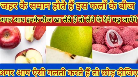 जहर के समान होते हैं इन फलों के बीज अगर आप इनके बीज खा लेते हैं तो