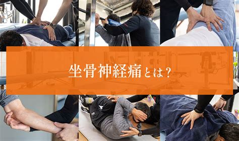 坐骨神経痛とは？原因や予防、改善方法について解説 横浜元町 ととのえ