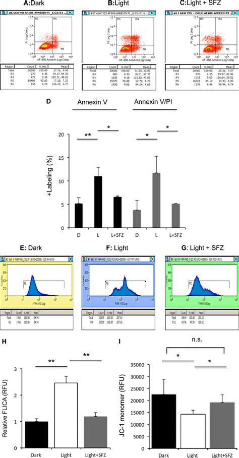 Sulfaphenazole Inhibits Light Induced Necrosis And Apoptosis 661w