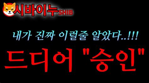 시바이누 충격 진짜 이럴 줄 알았다 미친 속보 드디어 승인 떴습니다 Youtube