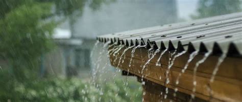 威海发布暴雨蓝色预警阵风雷雨东南风