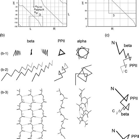 Pdf Polyproline Ii Helix In Proteins Structure And Function