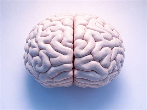 Quantum Sensors May Improve Medical Diagnoses Accuracy Says Qed C