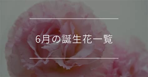 6月の誕生花一覧｜誕生月と誕生日の花言葉 観葉植物・お花の通販 And Plants アンドプランツ