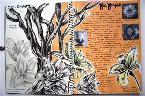 Page Not Found Sha Tin College ESF Natural Form Art A Level Art