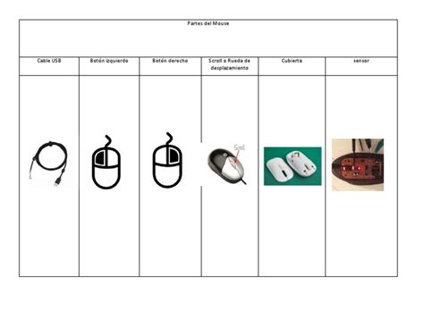 Partes Del Mouse Pdf