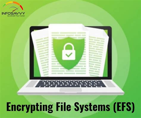 An Overview Of Encrypting File Systems Efs