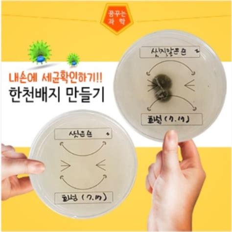 세균검사한천배지만들기 일반세균 10개분 홈플러스 택배배송