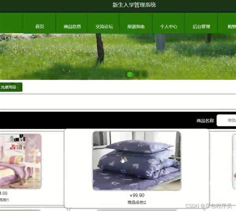 Springbootvueelementui新生入学管理系统 Java Ssm学生选课管理系统javaeessmvue