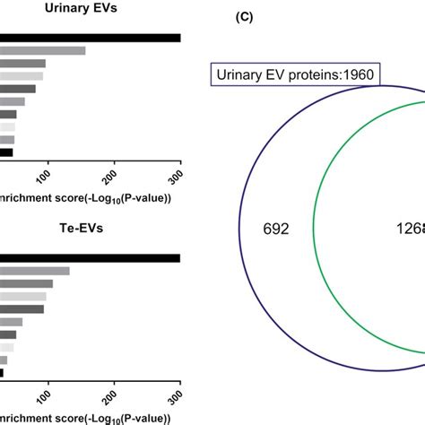 Go Annotation Cellular Component Of Identified Proteins Using Shotgun Download Scientific