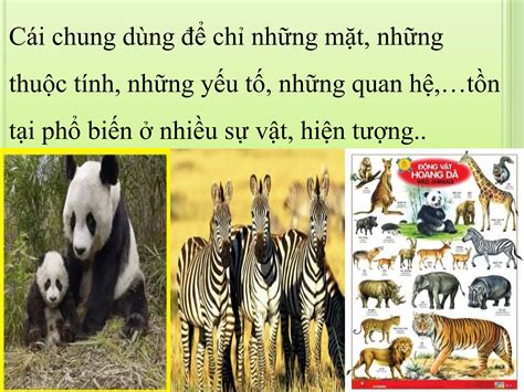 phạm trù nguyên nhân kết quả PPTX