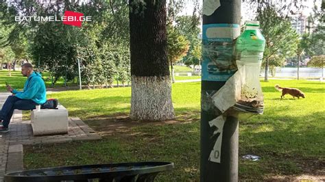 პლასტმასის ბოთლის „საფერფლეები“ ბათუმის ცენტრალურ პარკში [ფოტო] Batumelebi • • Batumelebi Ge