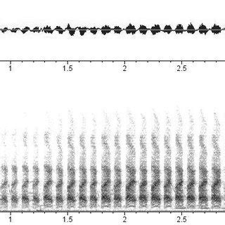Spectrogram And Waveform Views Of The Three Loud Call Types A The V