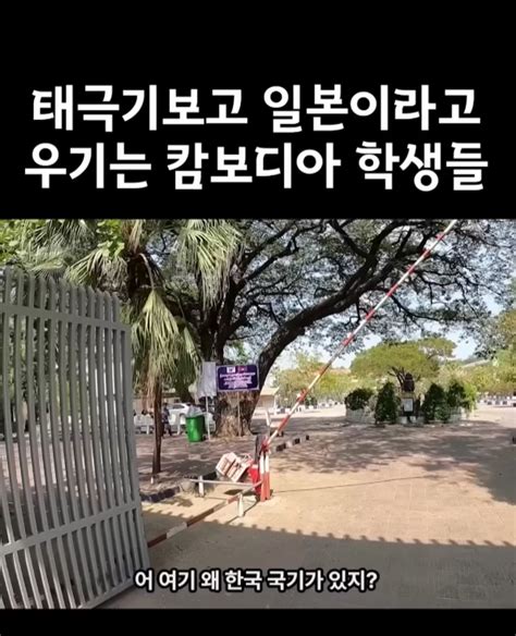 유튜브 국뽕 경찰들 인기 게시물 시보드