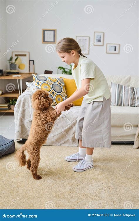 Niña Pequeña Jugando Con Su Perro En Casa Imagen De Archivo Imagen De
