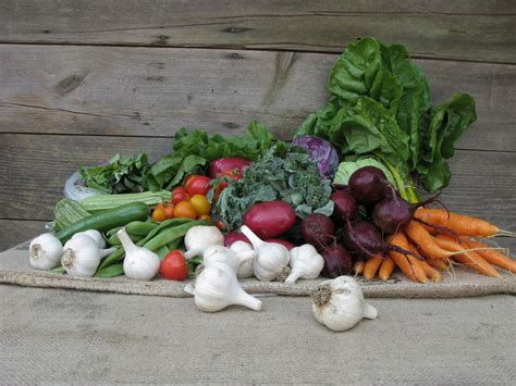 Fraser Common Farm Cooperative