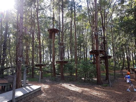 Treetops Newcastle Blue Gum Hills Regional Park Minmi Road Minmi