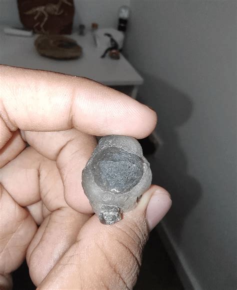 Chalcedony After Fossilized Sponge Pseudomorph R Fossils