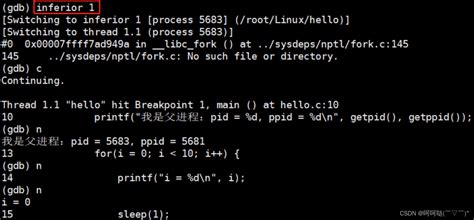 基于linux下的高并发服务器开发（第二章） 2 5 父子进程关系及gdb多进程调试 linux父子进程网络服务代码 csdn博客