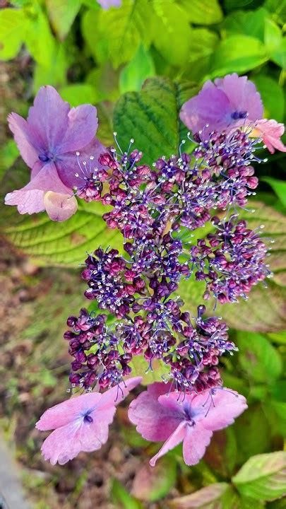 찬송가 620장 여기에 모인 우리 Youtube