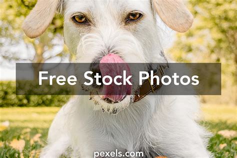 Lesbianbuttlick Photos Download The Best Free Lesbianbuttlick